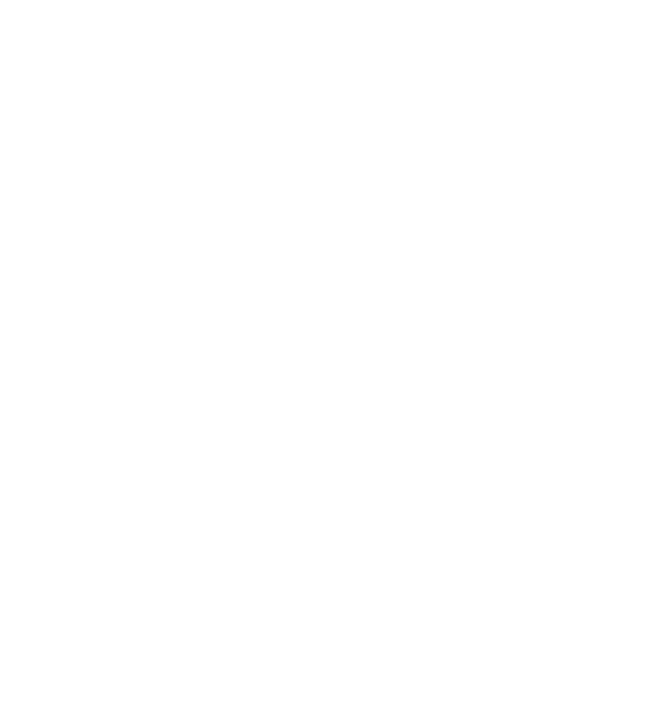 Irongate Security